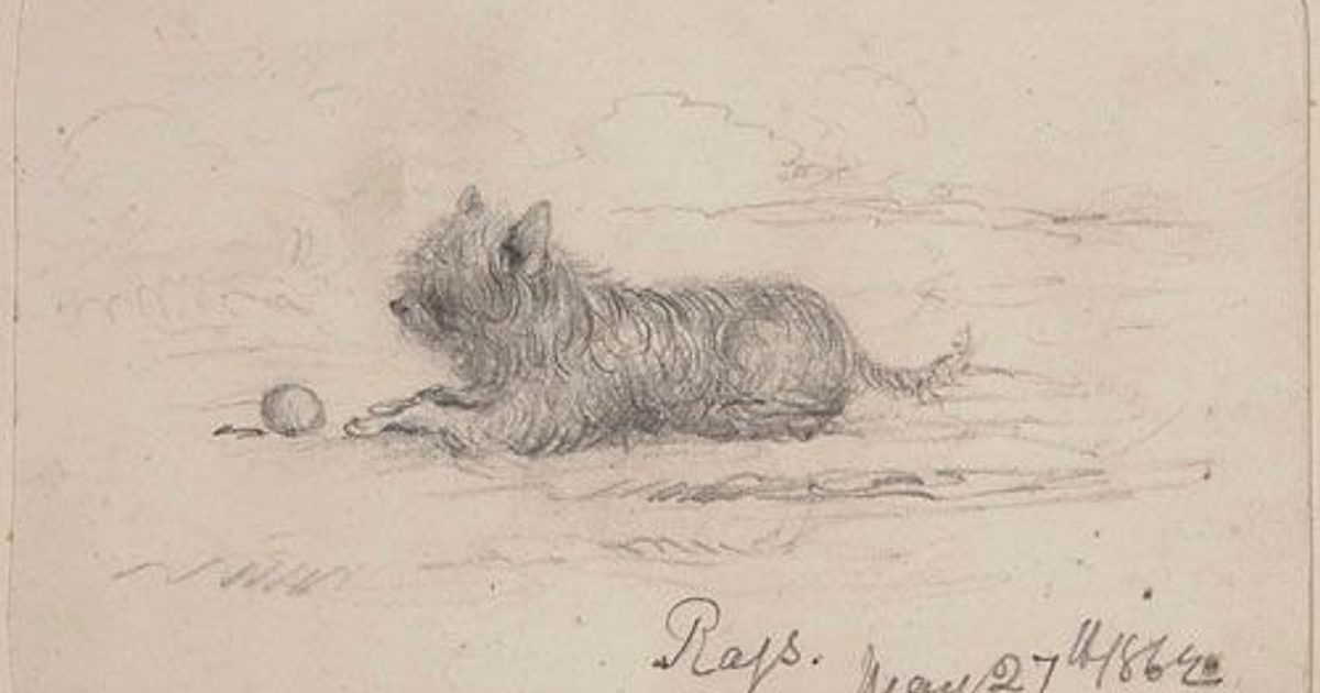 Portrait de chien, de l'album du capitaine Frederick Stevenson | Musée ...