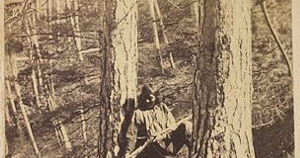Amérindien en forêt, de l'album du capitaine Frederick Stevenson ...