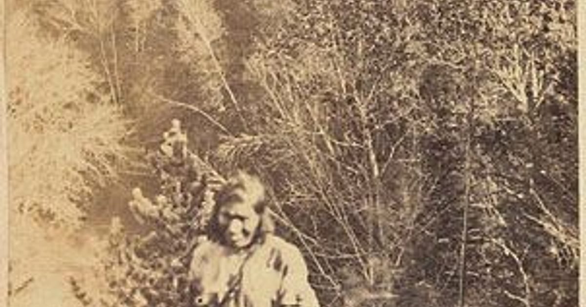 Amérindien en forêt, de l'album du capitaine Frederick Stevenson ...