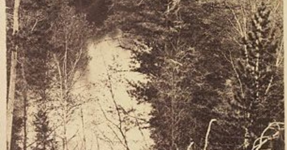 Amérindien en forêt, de l'album du capitaine Frederick Stevenson ...