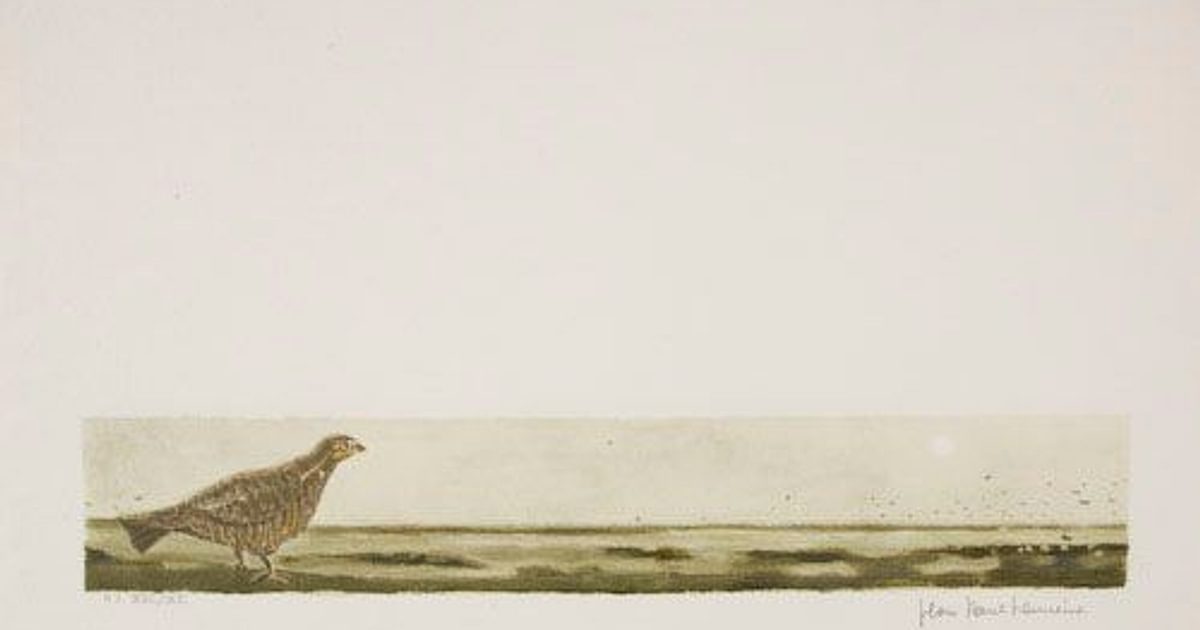 La Perdrix, du livre illustré «La Petite Poule d'eau» | Musée national ...