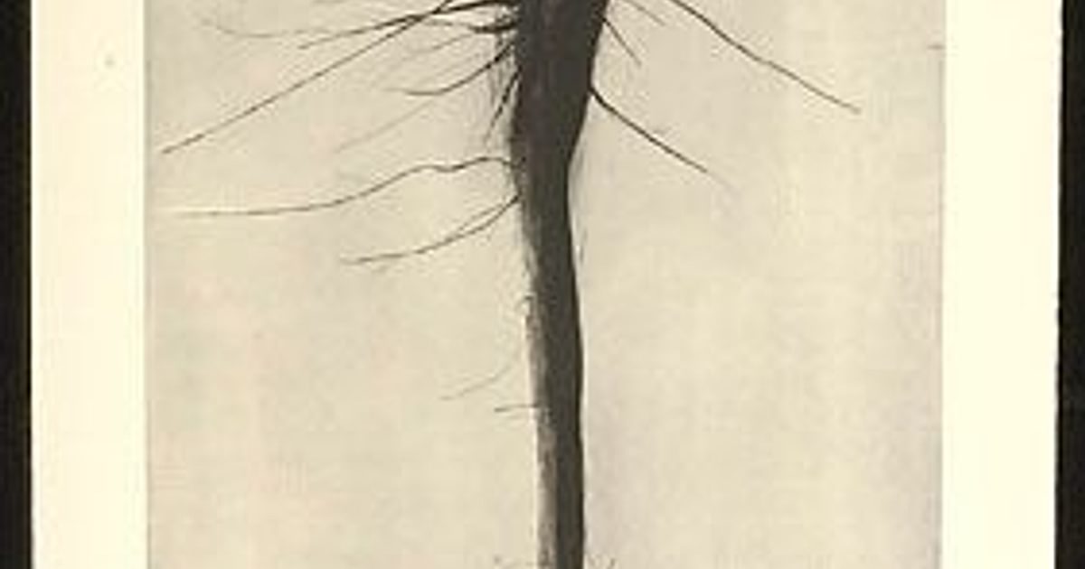 Synapsis | Musée national des beaux-arts du Québec - MNBAQ