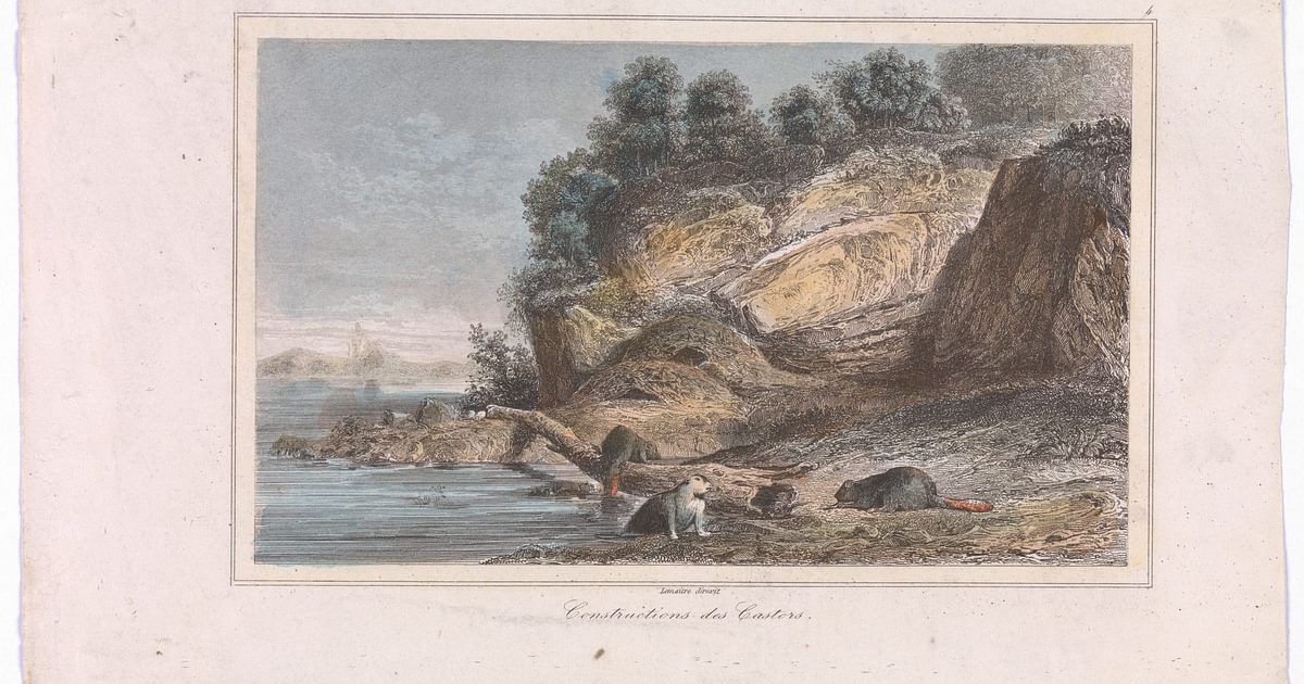 Constructions des castors, extrait de l'ouvrage L'Univers… | Musée ...