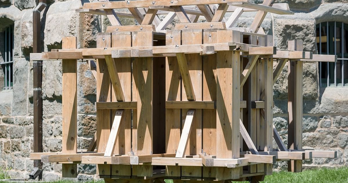 Tortoise (Cube) | Musée national des beaux-arts du Québec - MNBAQ